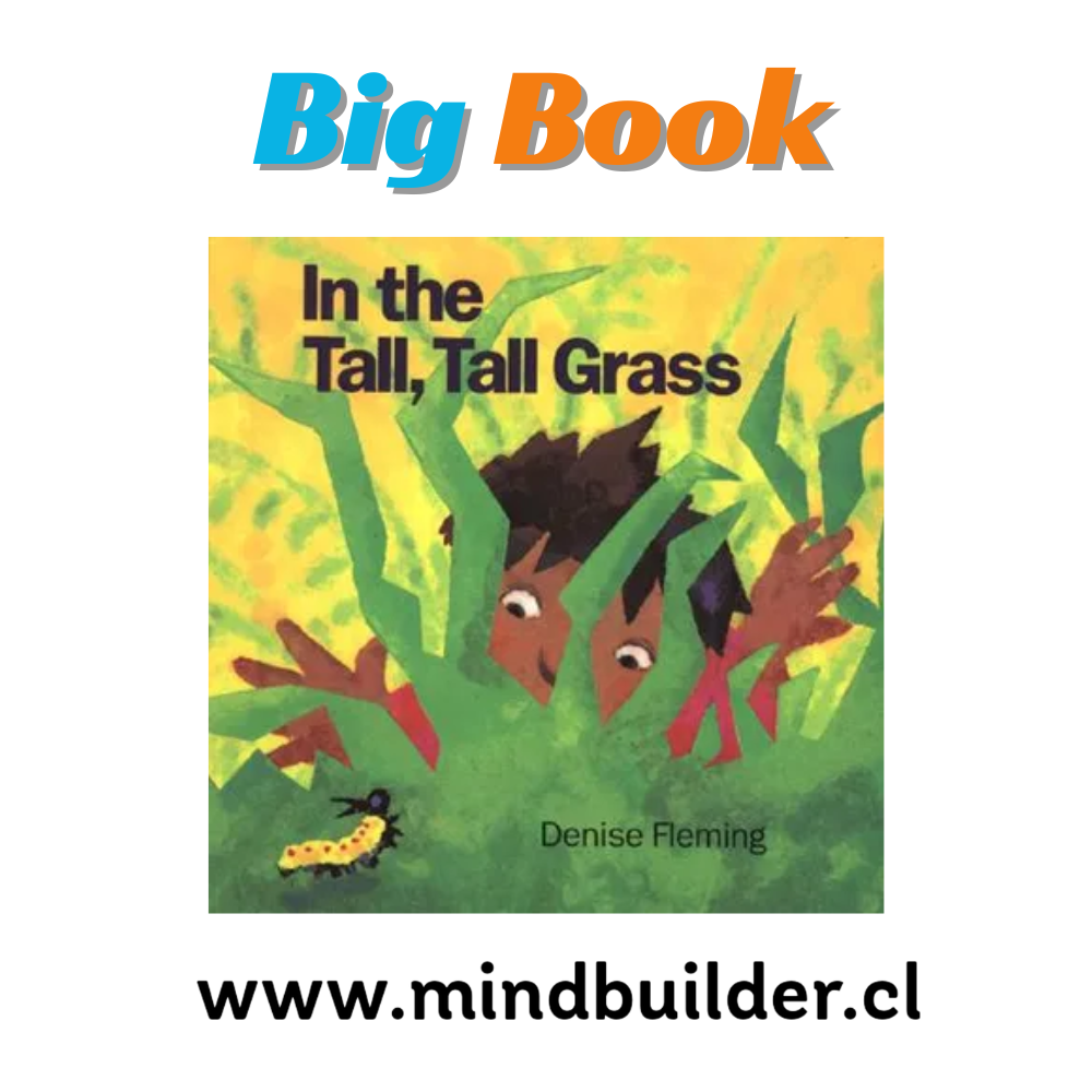 Big Book, In the TALL, TALL Grass – Libreria Mindbuilder