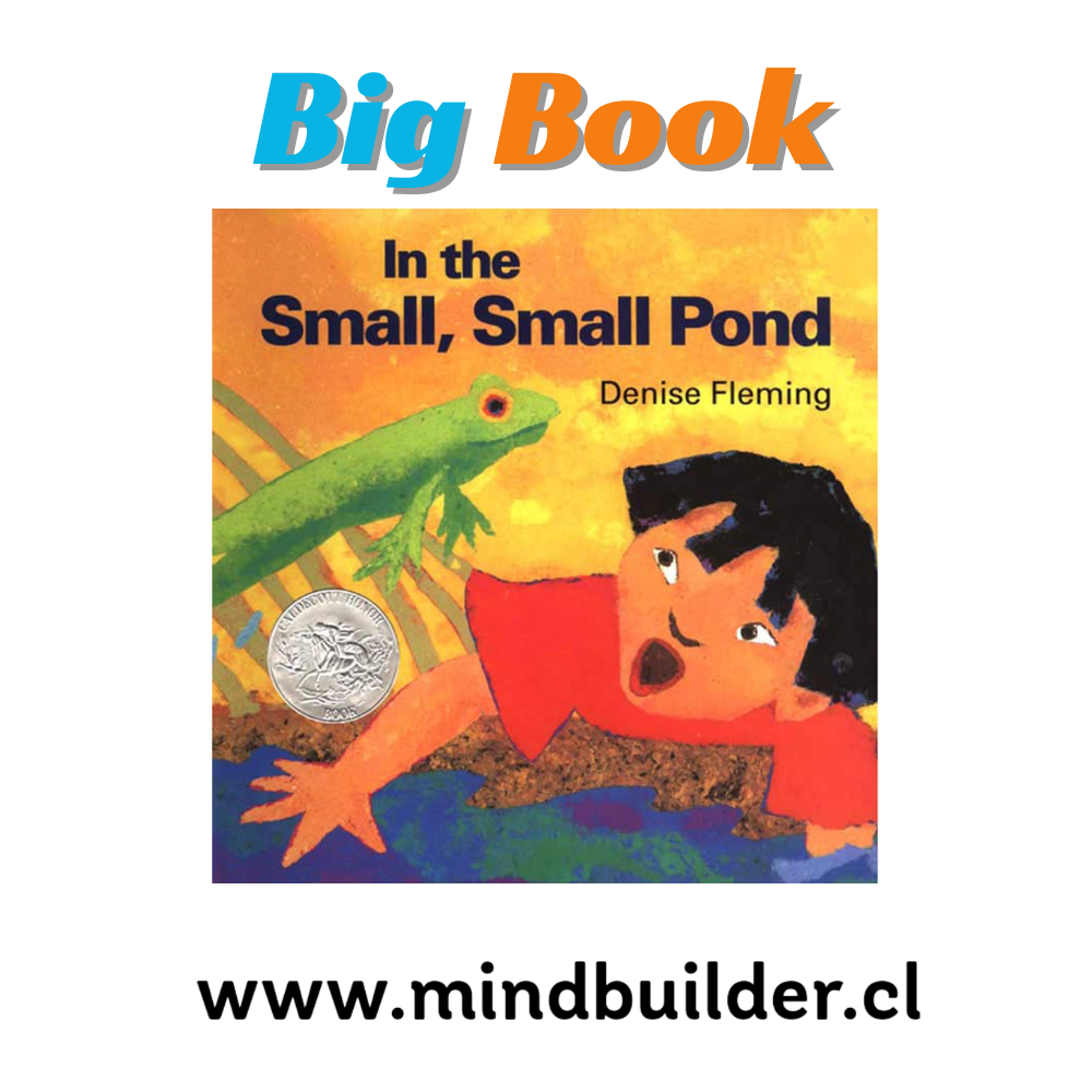 Big Book, In the Small, Small Pond – Libreria Mindbuilder