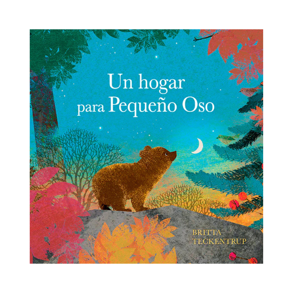 Un Hogar para Pequeño Oso – Libreria Mindbuilder