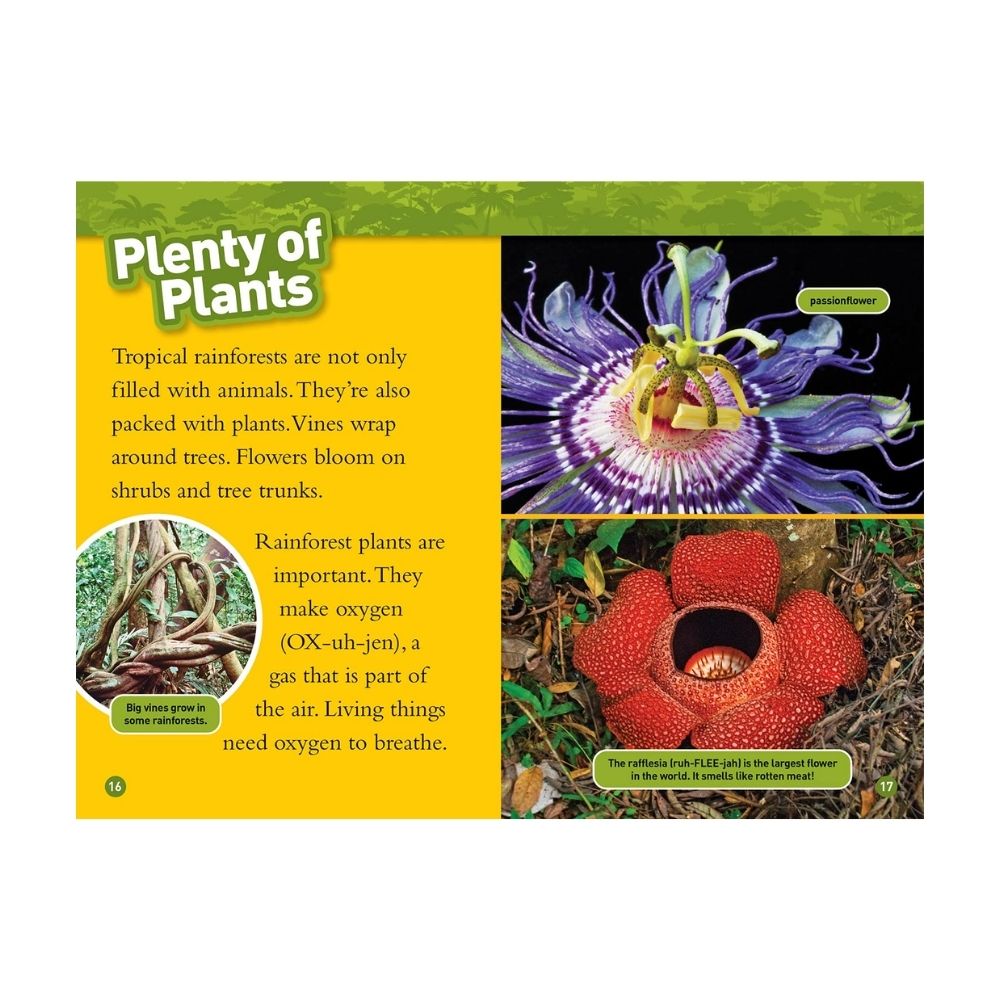 National Geographic Readers: Rainforests (Level 2) – Libreria Mindbuilder