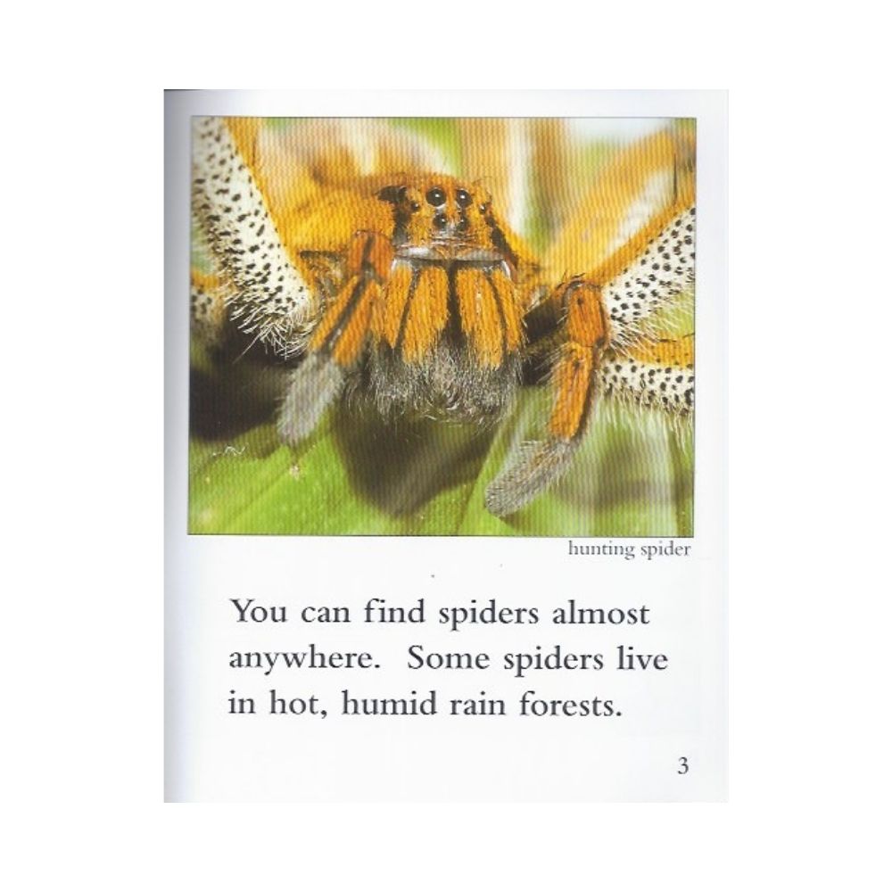 Spiders Are Not Insects – Libreria Mindbuilder