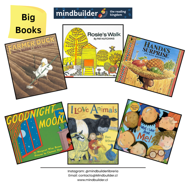 Big Books - Libros Gigantes – Libreria Mindbuilder
