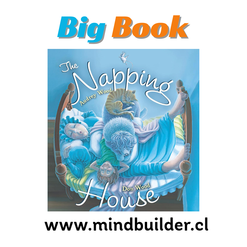 Big Book, The Napping House – Libreria Mindbuilder