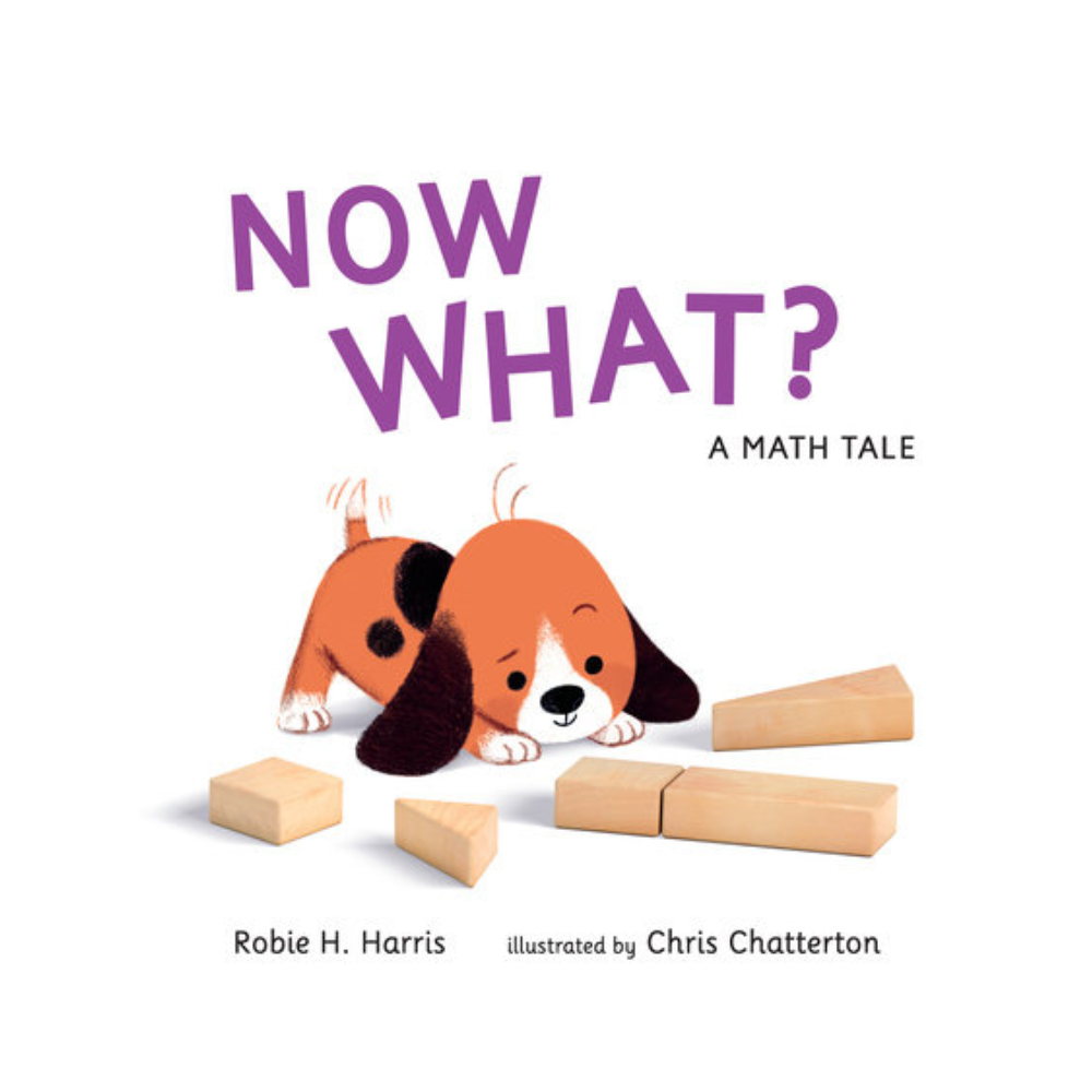 Now What? A Math Tale – Libreria Mindbuilder